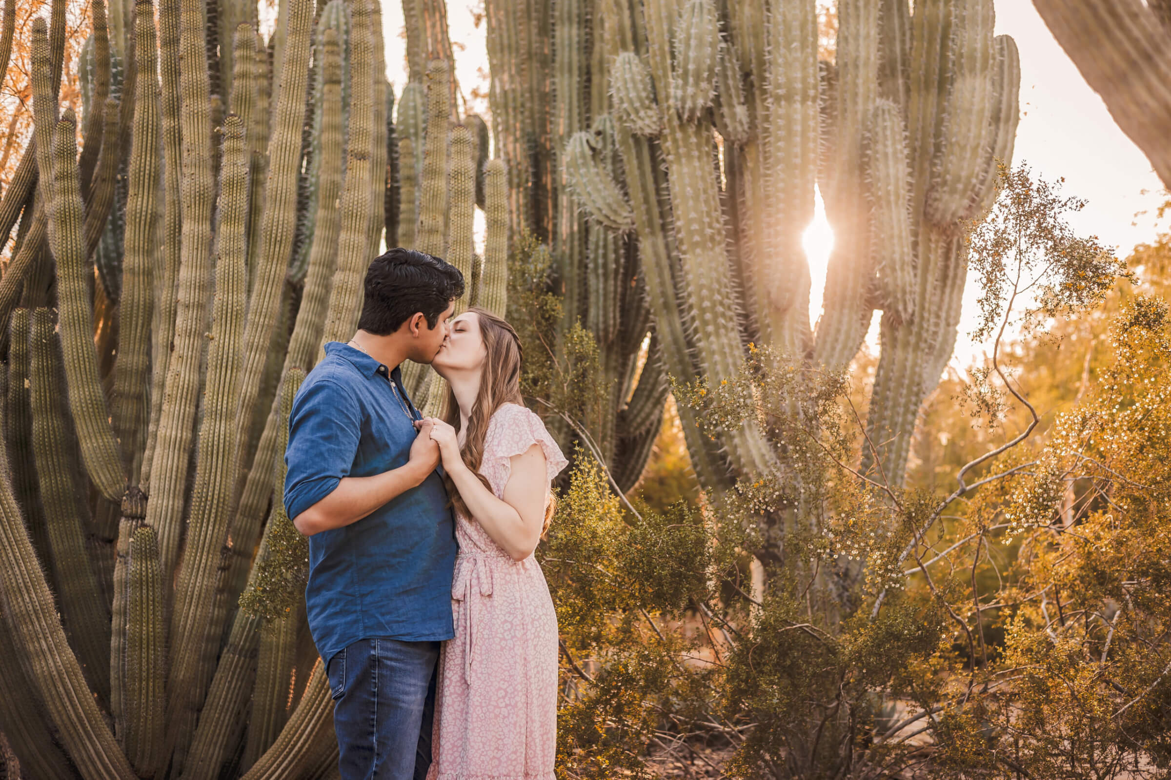Desert Botanical Gardens - Phoenix, AZ - Memories by Candace