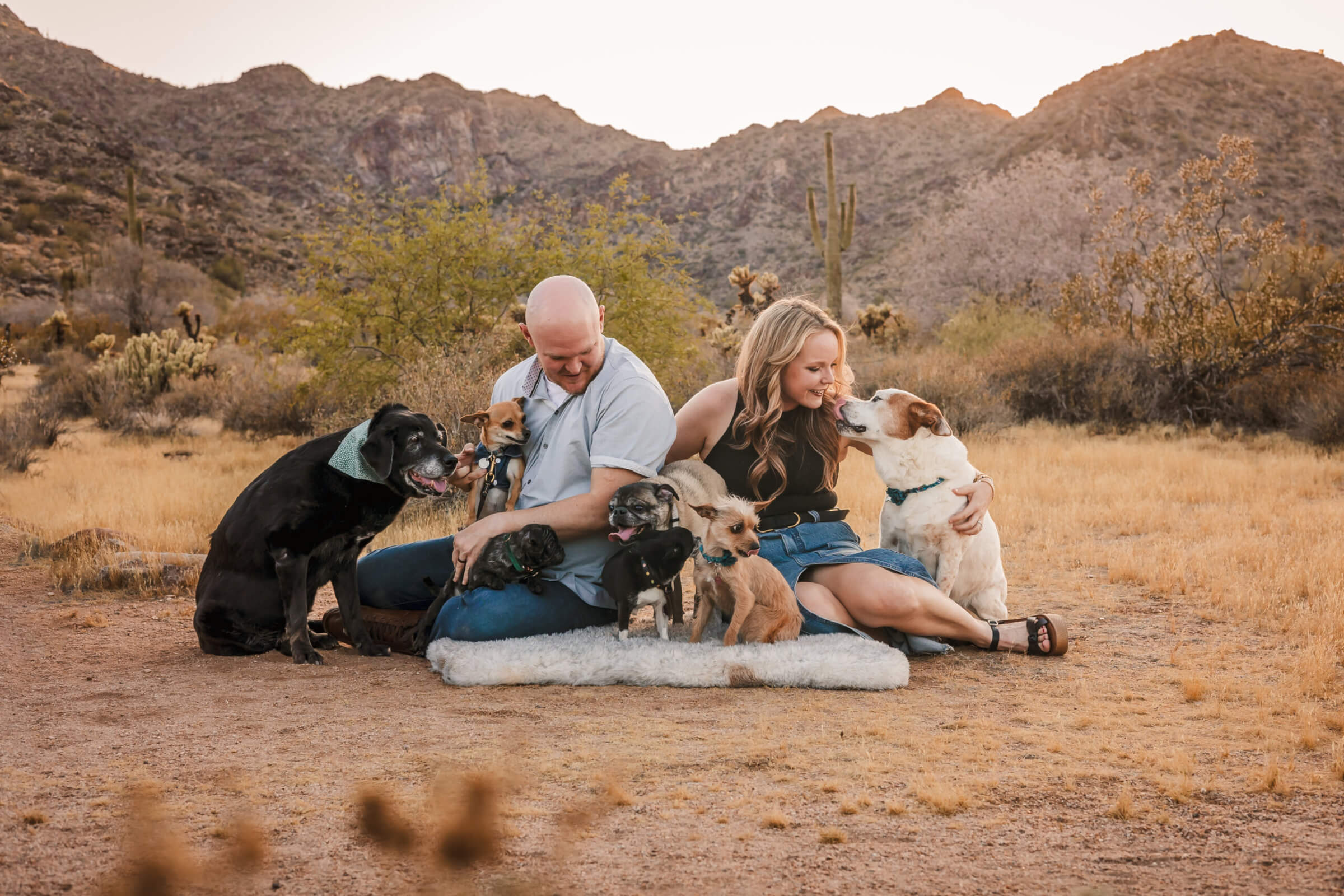 Pet Photography - Phoenix, AZ - Memories by Candace